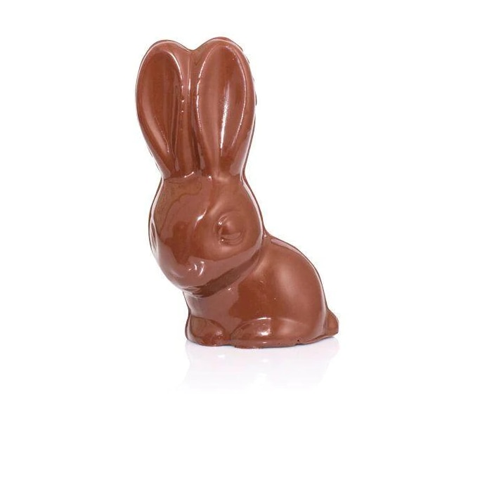 Matrita de Paste pentru ciocolata si bomboane, forma iepuras ...
