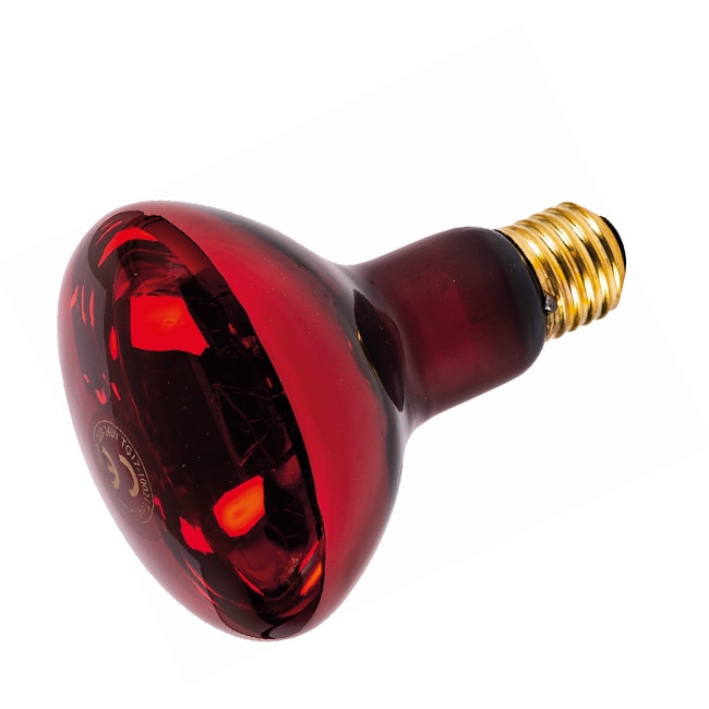 Bec incandescent infrarosu 150W - eMAG.ro