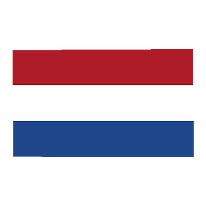 Steag Olanda Vision dimensiune 150x90cm - eMAG.ro