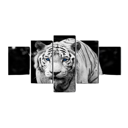Set tablou decorativ, Tigru Alb, 5 piese, 150 x 80 cm (nemontat) - eMAG.ro