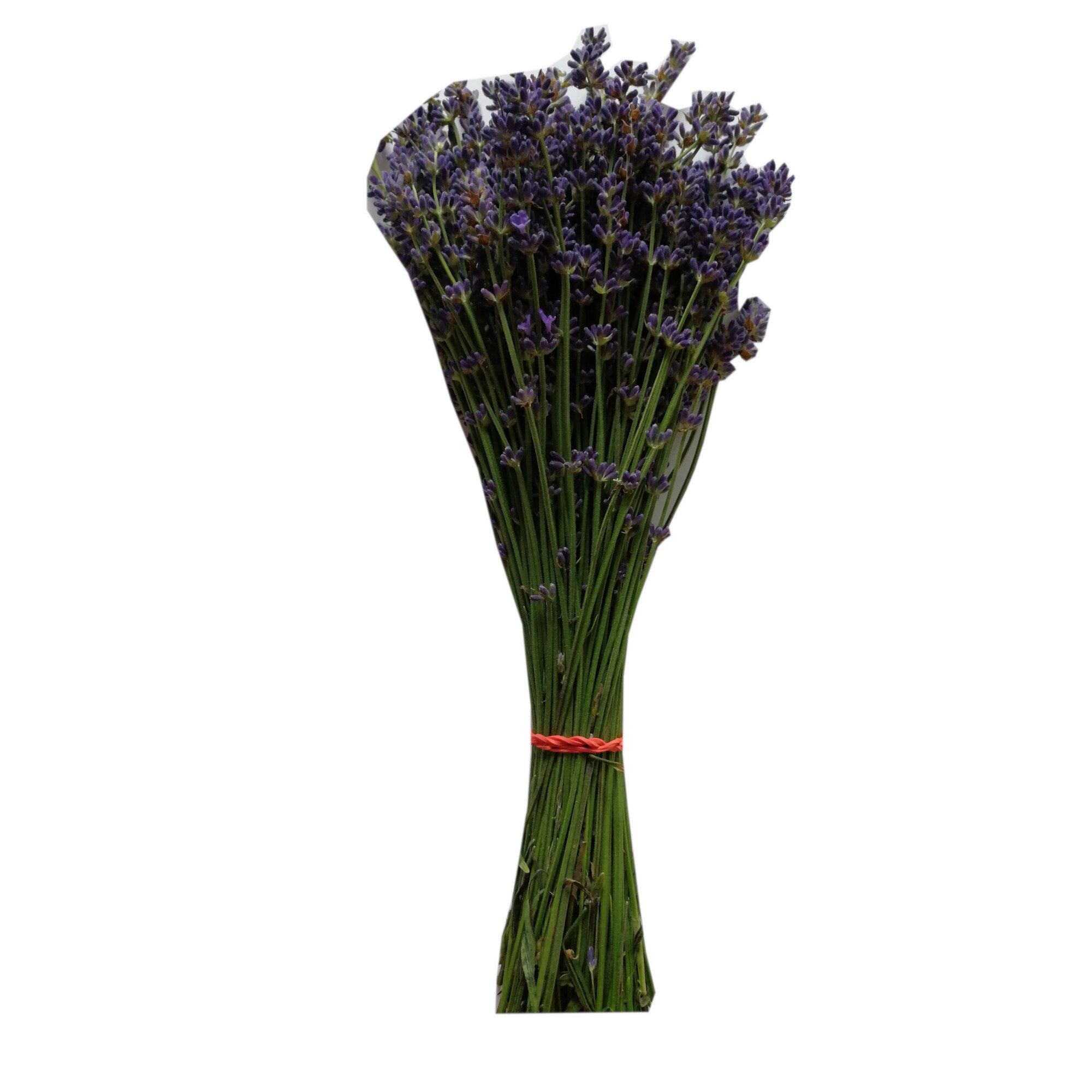 Buchet de lavanda comestibila, din cultura Bio - eMAG.ro