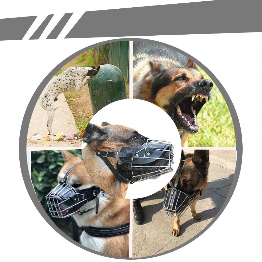 Botnita caini cu protectie din piele neagra XL - eMAG.ro