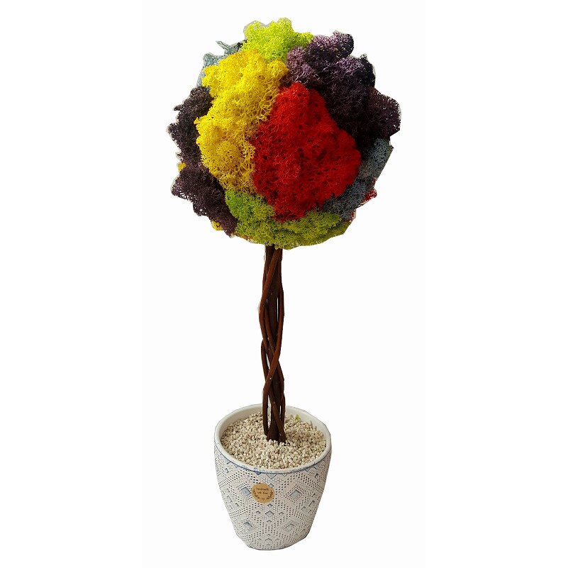 Copac decorativ din licheni stabilizati, 60 cm h, Rainbow tree - eMAG.ro