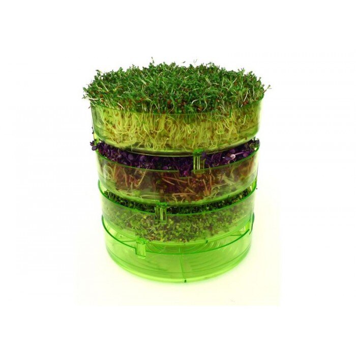 Germinator din plastic cu 3 tavite - eMAG.ro