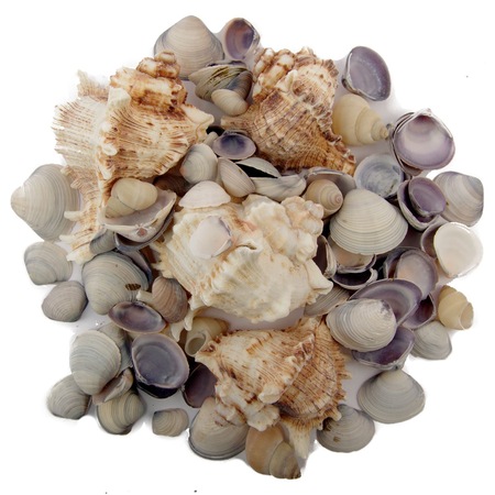 Scoici decorative multicolore, DecorCasa, 400 grame - eMAG.ro