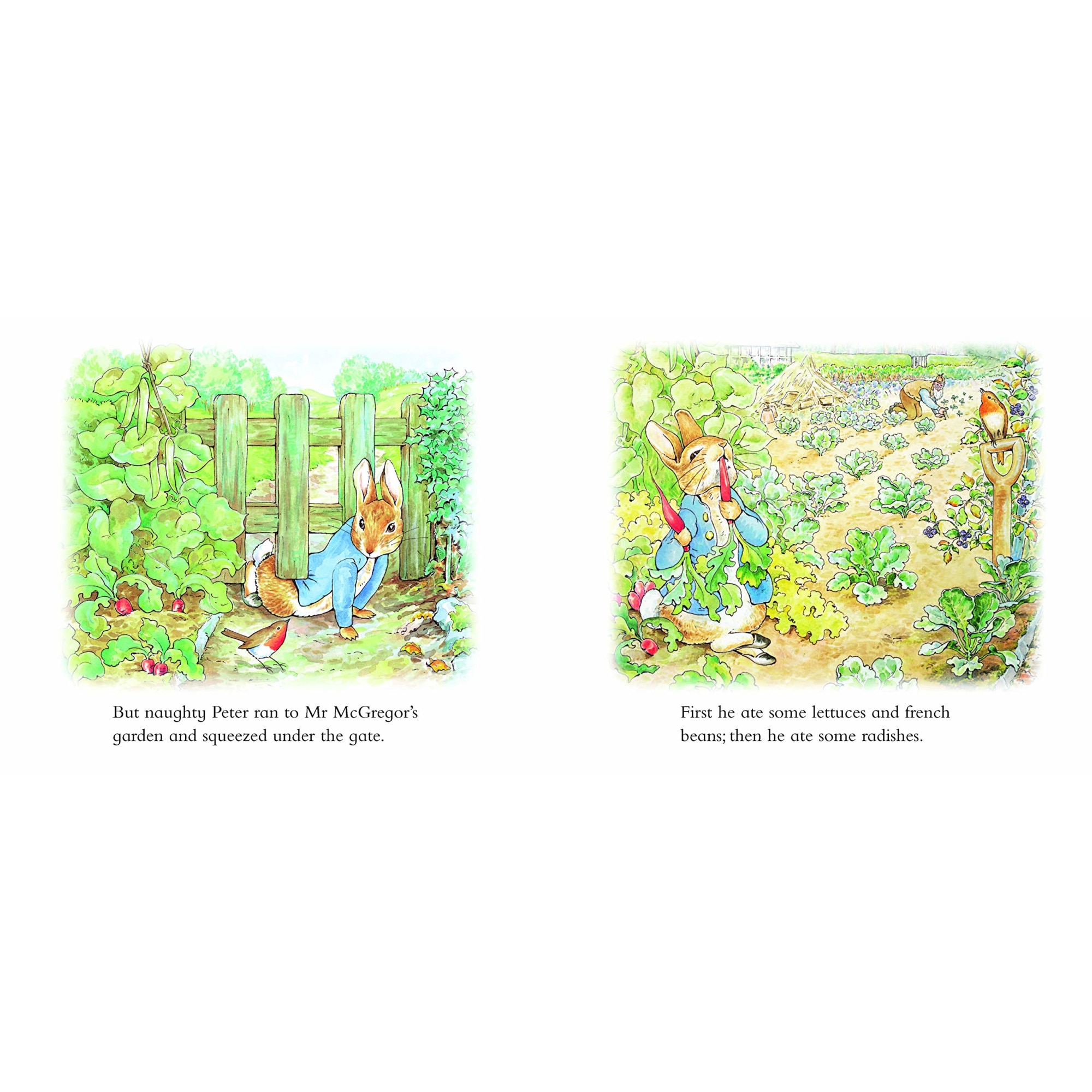 The Tale of Peter Rabbit Story Board Book de Beatrix Potter - eMAG.ro