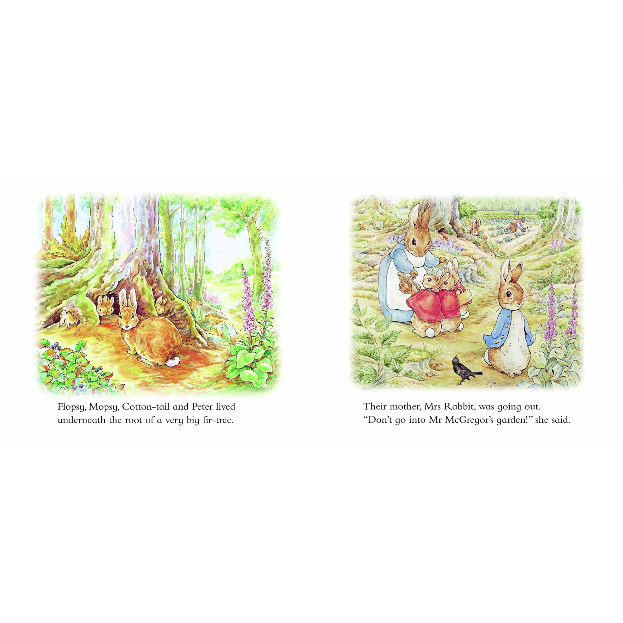 The Tale of Peter Rabbit Story Board Book de Beatrix Potter - eMAG.ro