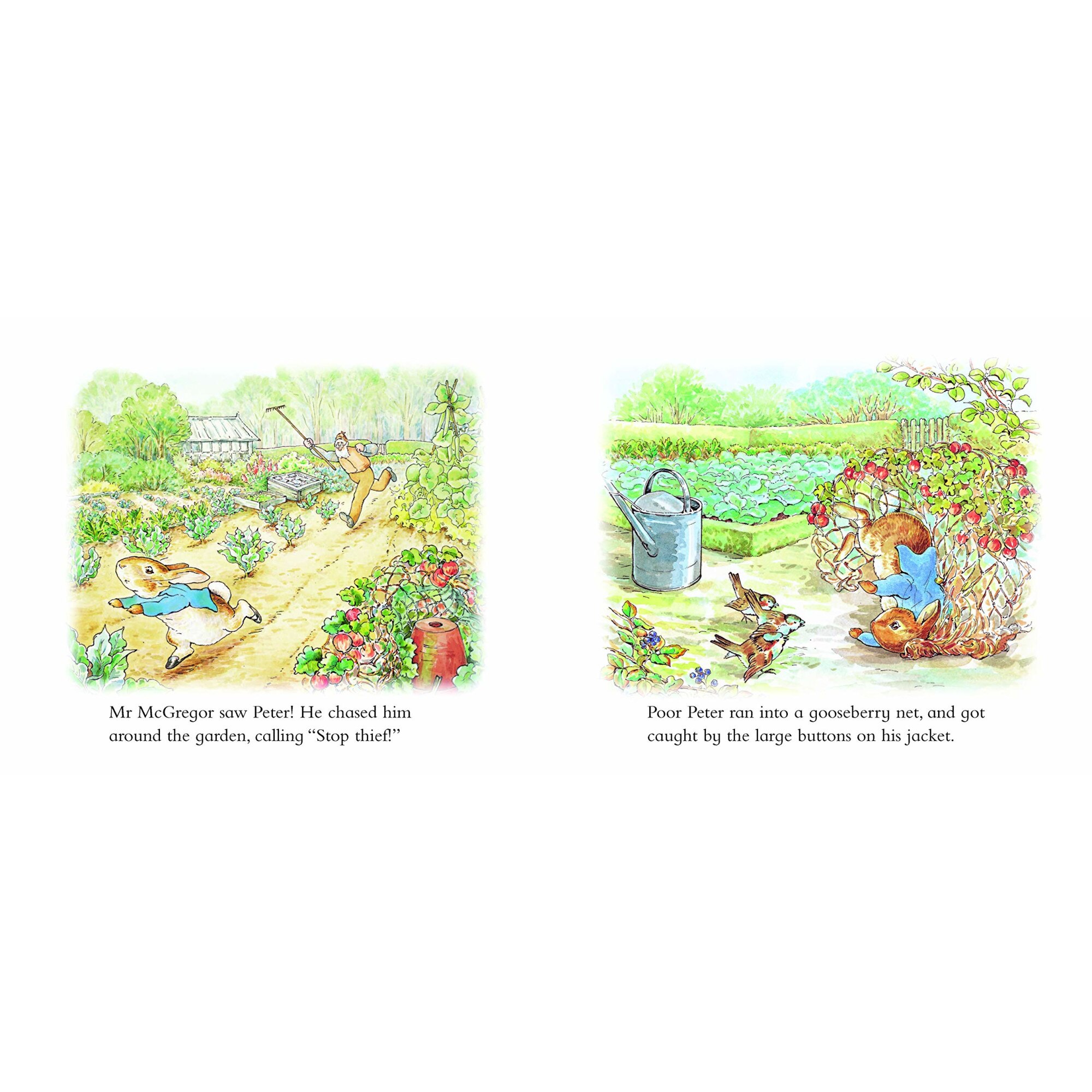 The Tale of Peter Rabbit Story Board Book de Beatrix Potter - eMAG.ro
