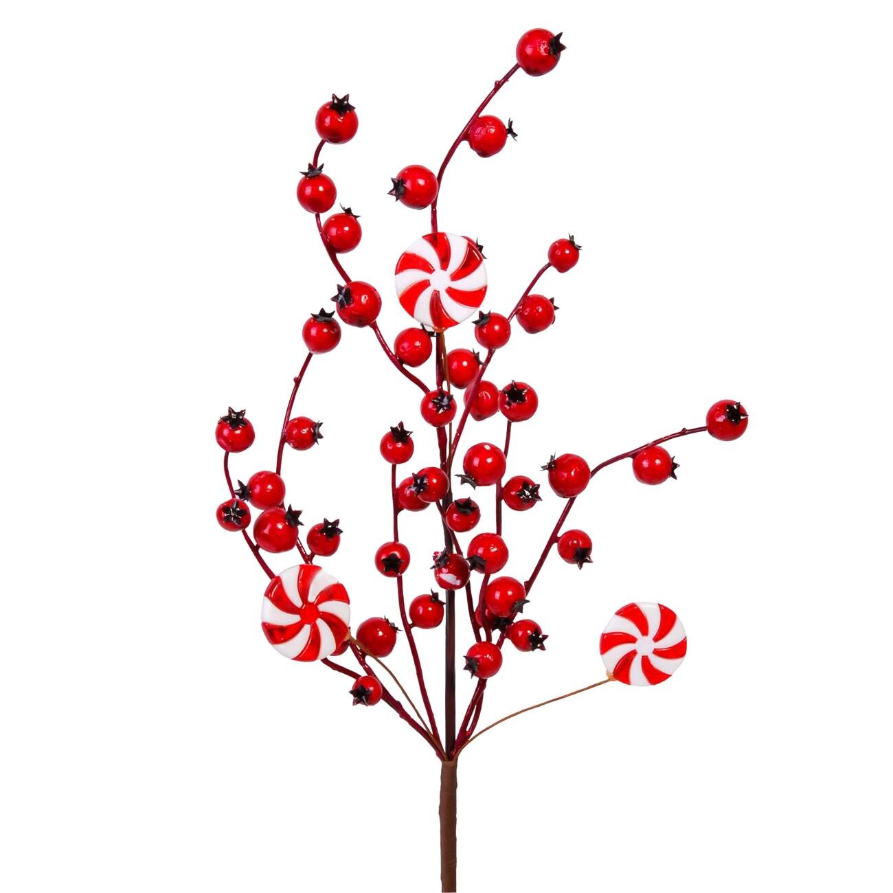 Crenguta decorativa de Craciun cu acadele si merisoare, DecorCasa, 66 ...