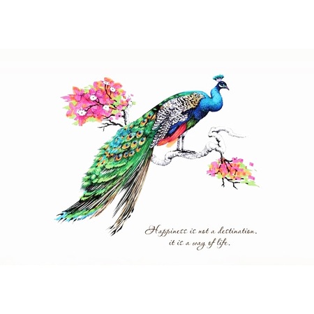 Sticker decorativ perete citat Paun colorat - eMAG.ro