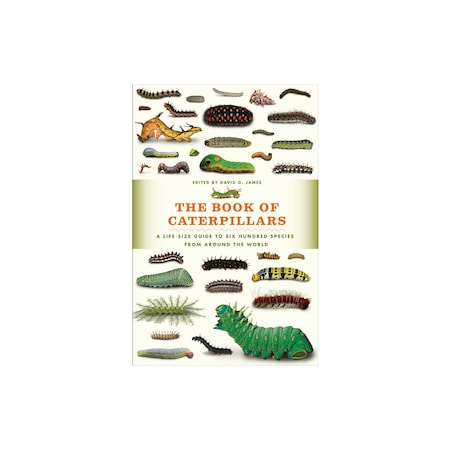 The Book of Caterpillars A Life-Size Guide to Six Hundred Species from ...