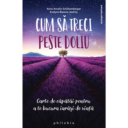 Cum sa treci peste doliu. Carte de capatai pentru a te bucura iarasi de ...