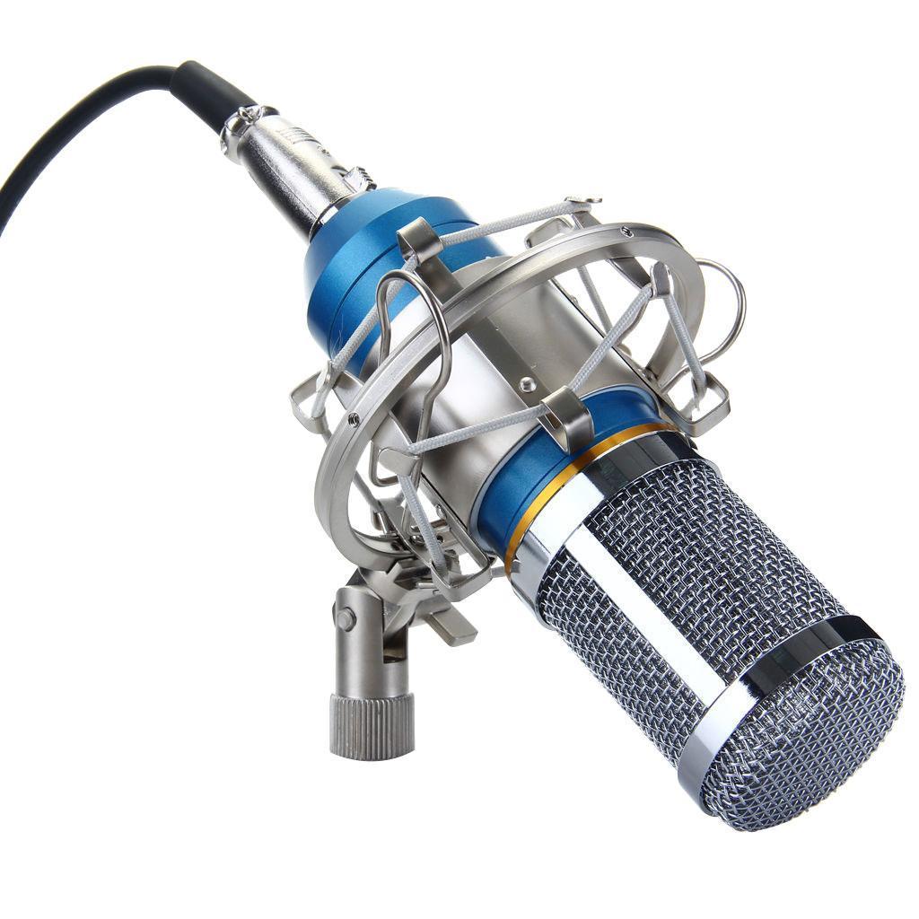 Microfon Condensator Pentru Studio Cu Suport Metalic - eMAG.ro