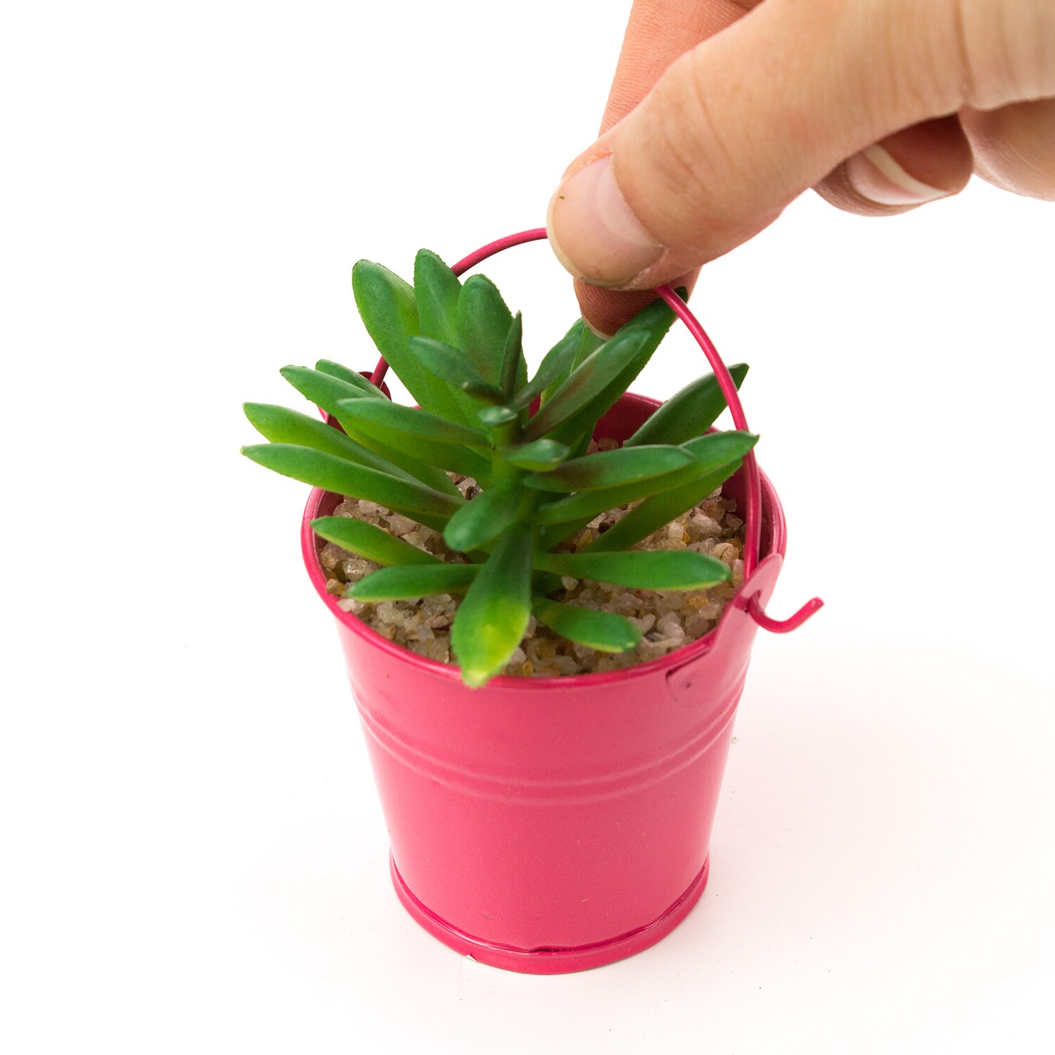 Planta suculenta artificiala in ghiveci F419-298-1 Pami Flower 5x5 cm ...