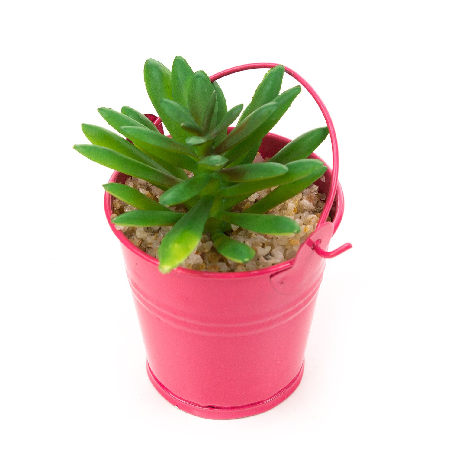 Planta suculenta artificiala in ghiveci F419-298-1 Pami Flower 5x5 cm ...