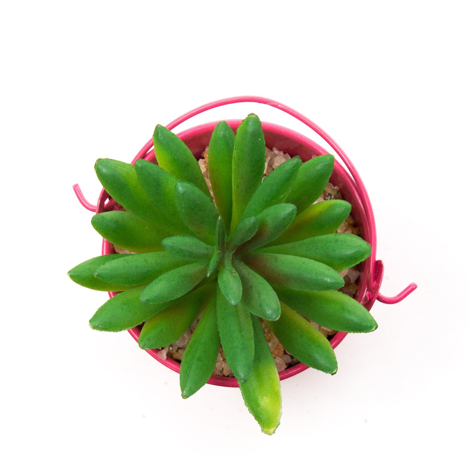 Planta suculenta artificiala in ghiveci F419-298-1 Pami Flower 5x5 cm ...