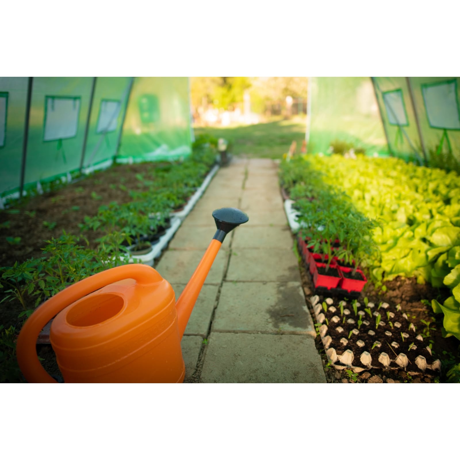 Solar de gradina 4x4 m, teava galvanizata - eMAG.ro