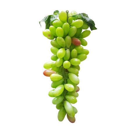 Strugure artificial, 85 boabe, verde - eMAG.ro