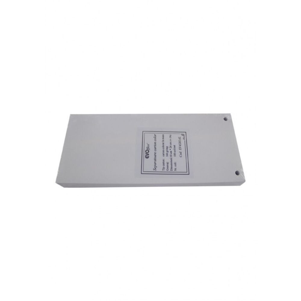 Separatoare din Carton EVOffice, Dimesiune 10x24 cm, 100 File/Set ...