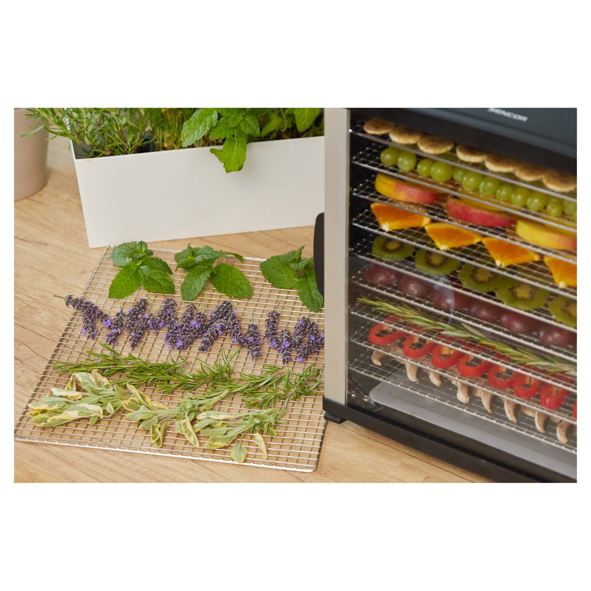 Uscator fructe, Sencor, 800 W, Negru - eMAG.ro