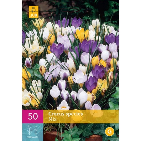 Bulbi, Branduse Crocus Species Mix, Jub Holland, 50 buc - eMAG.ro