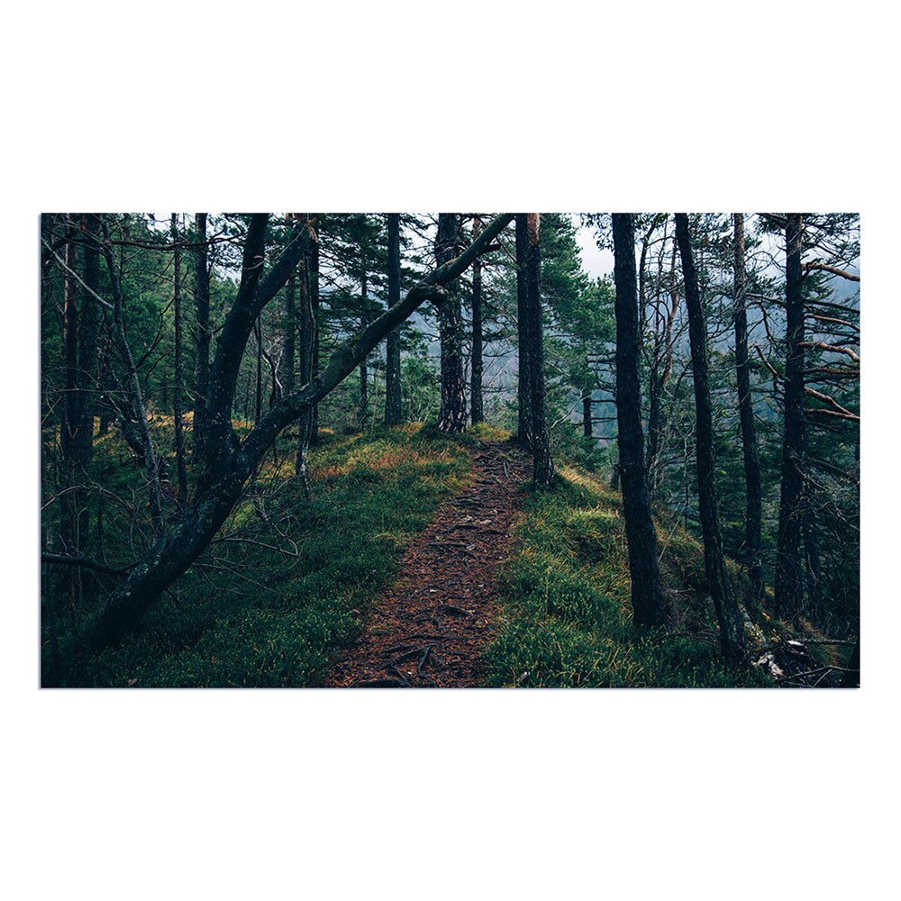 Covor Intrare Impermeabil Pres PVC Art Factory Carare prin padure, 50 x ...