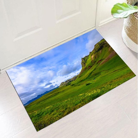 Covor Intrare Impermeabil Pres PVC Art Factory Flori galbene pe pasuni ...