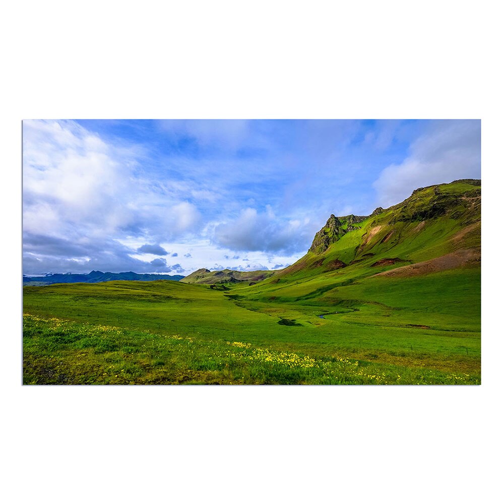 Covor Intrare Impermeabil Pres PVC Art Factory Flori galbene pe pasuni ...