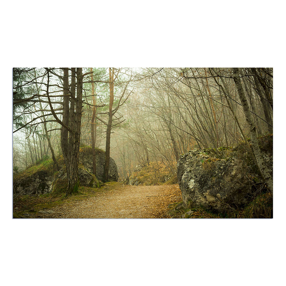 Covor Baie Impermeabil PVC Carare in padure toamna Art Factory, 70 x ...