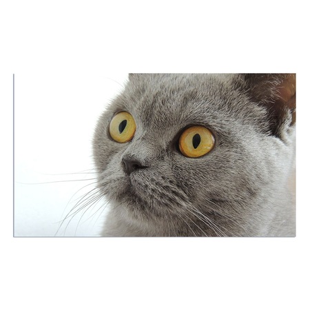 Covor Baie Impermeabil PVC Ochi galbeni, blana gri Art Factory, 50 x 70 ...