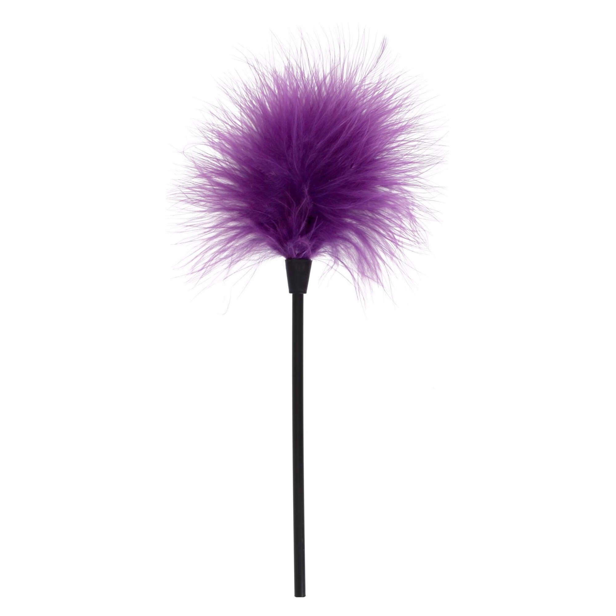 ToyJoy, Biczi, Sexy Feather Tickler Purple - eMAG.ro