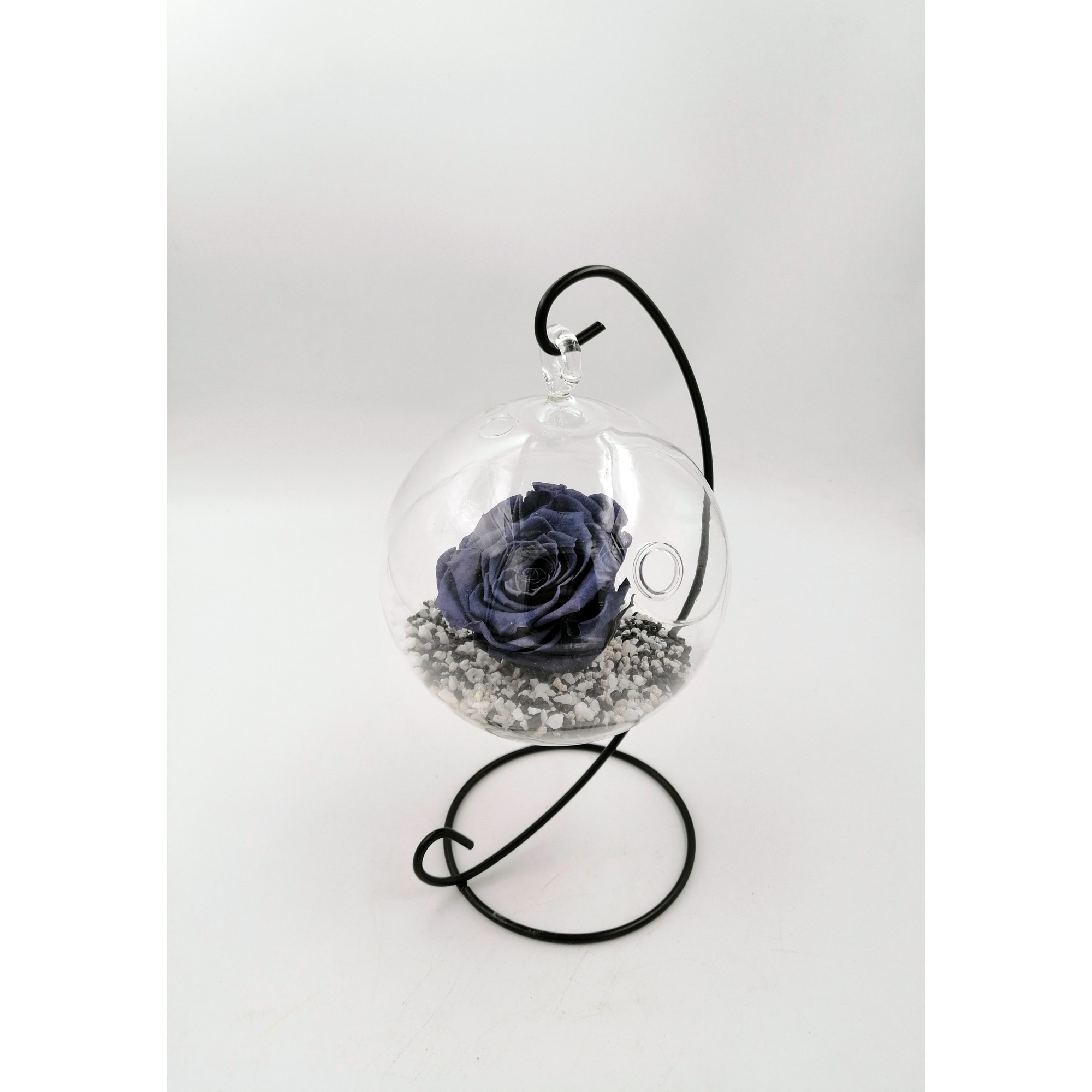 Trandafir Criogenat gri, pe pat de pietricele, in bol de sticla cu bula ...