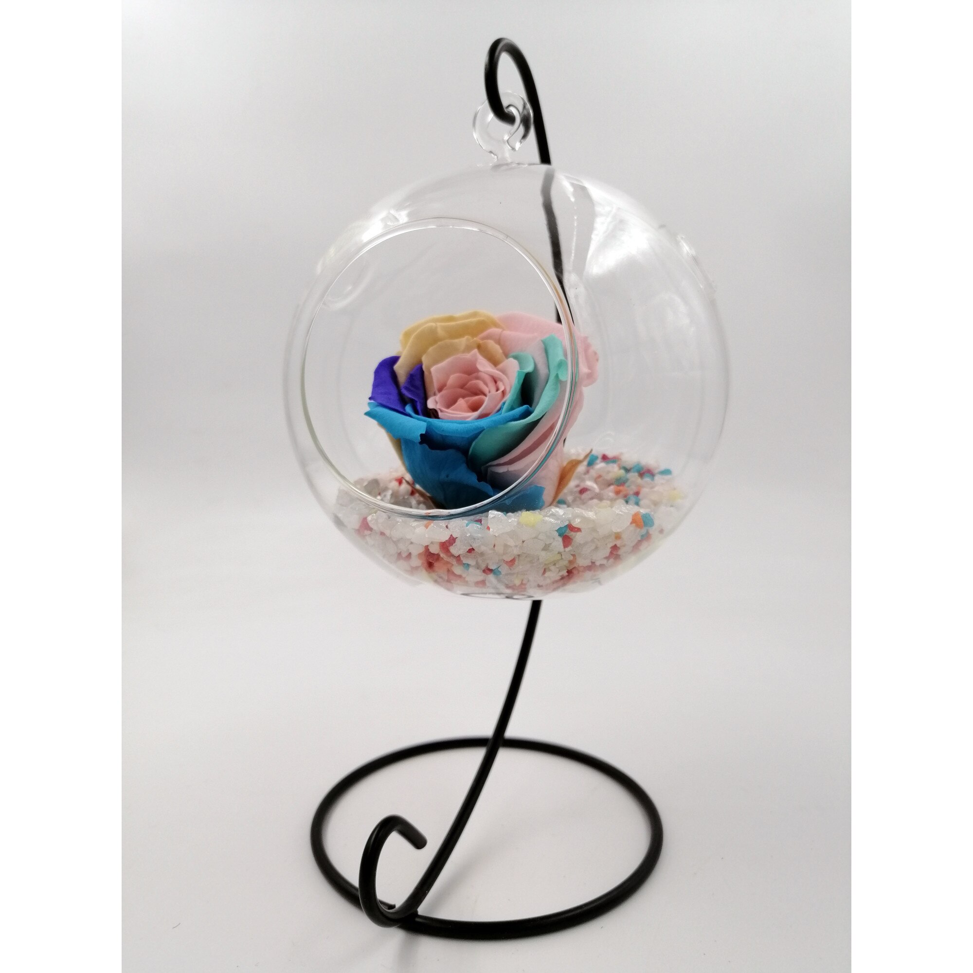 Trandafir Criogenat multicolor pastel, pe pat de pietricele, in bol de ...