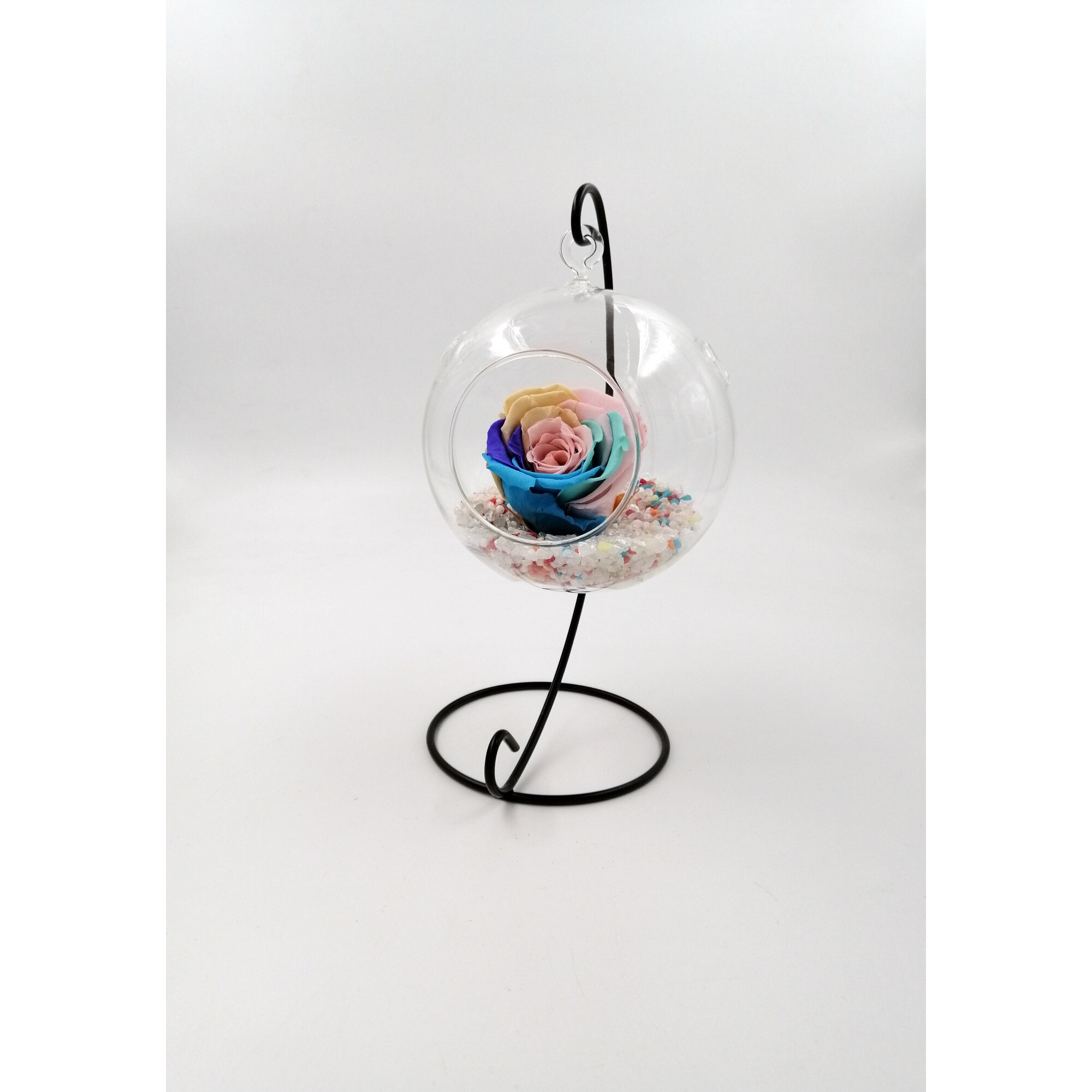 Trandafir Criogenat multicolor pastel, pe pat de pietricele, in bol de ...