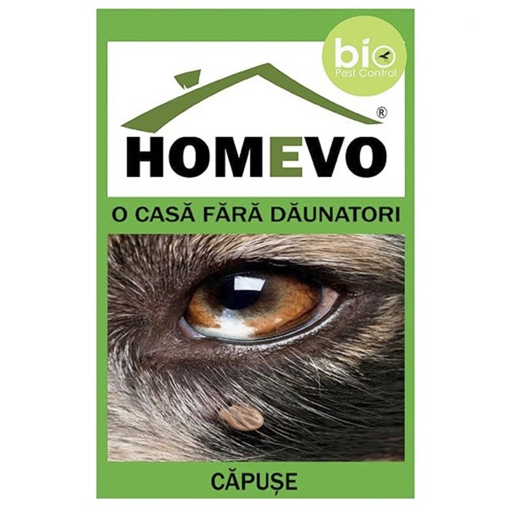 Set 5 x Insecticid Capuse Caini 50 grame - eMAG.ro