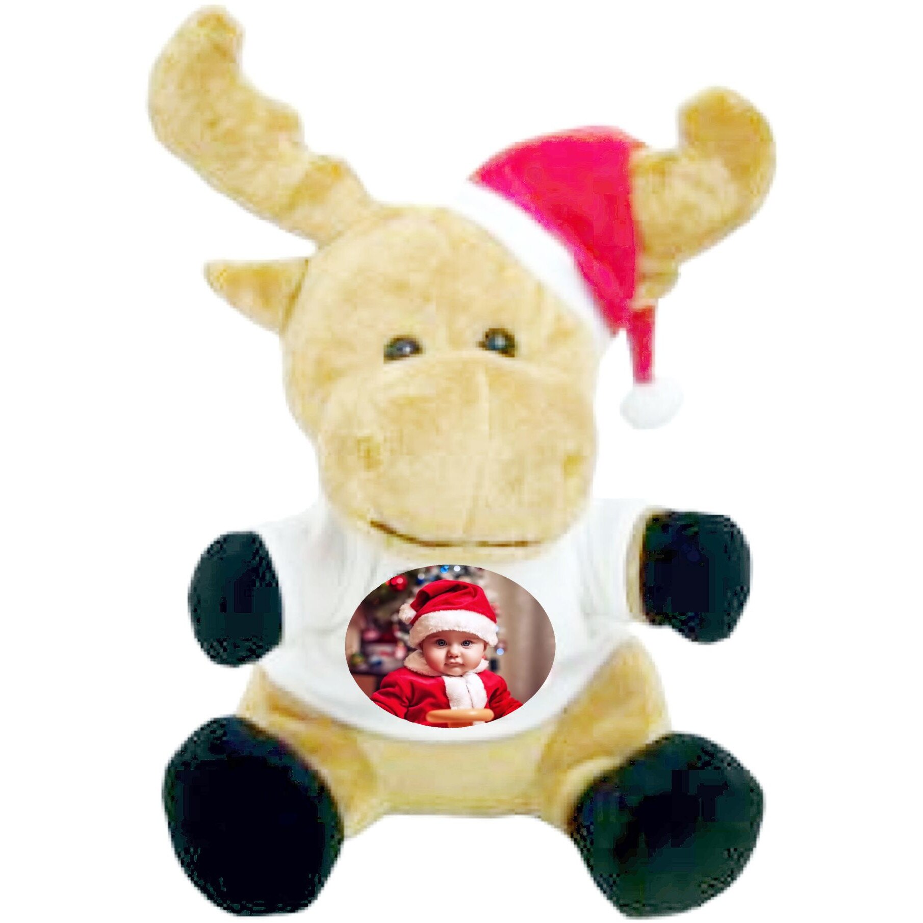 Ren de plus cu caciulita si cu tricou personalizat cu poza favorita ...