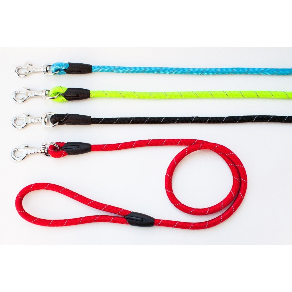 Lesa pentru caine, Miazoo, 200 cm, Albastru - eMAG.ro