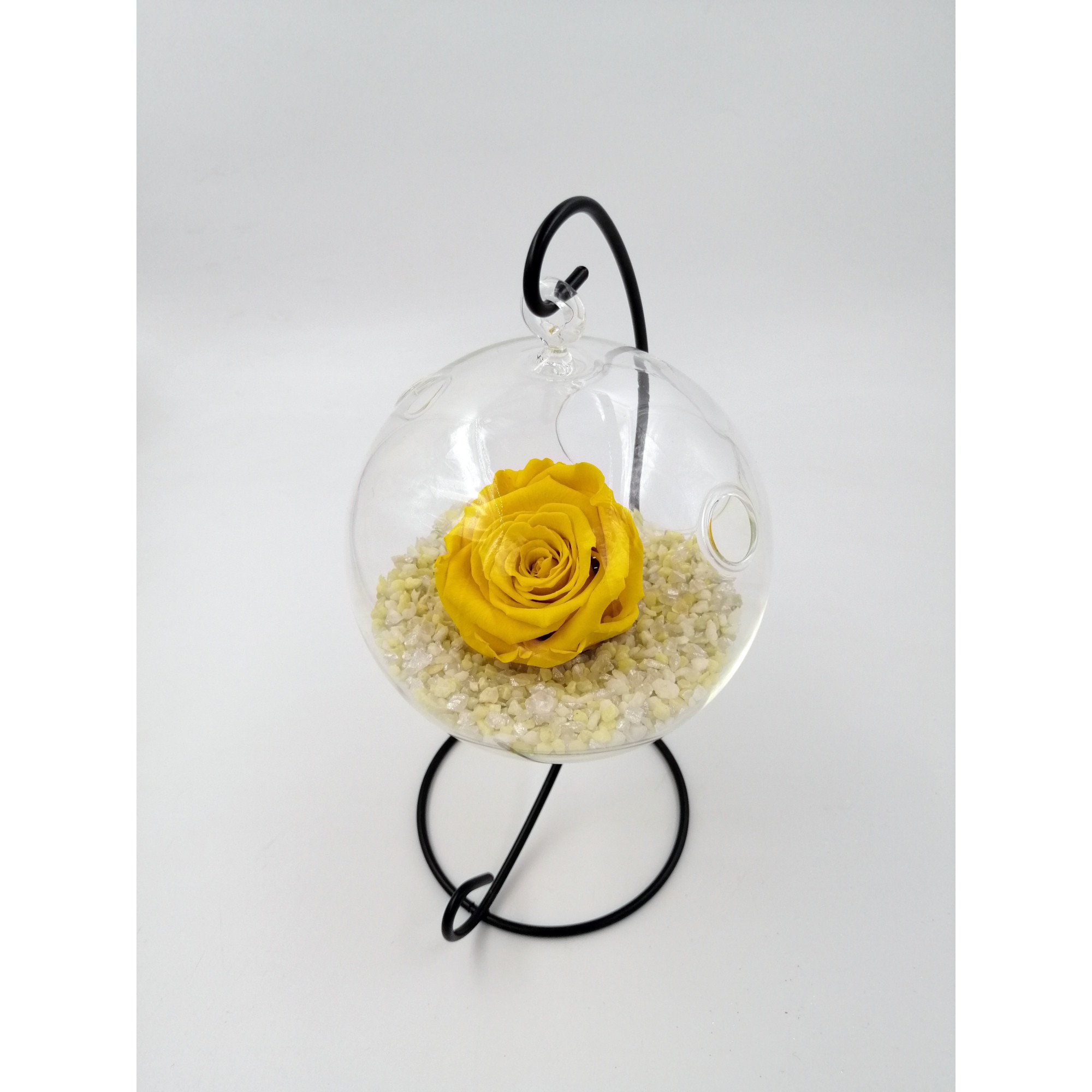 Trandafir Criogenat galben, pe pat de pietricele, in bol de sticla cu ...