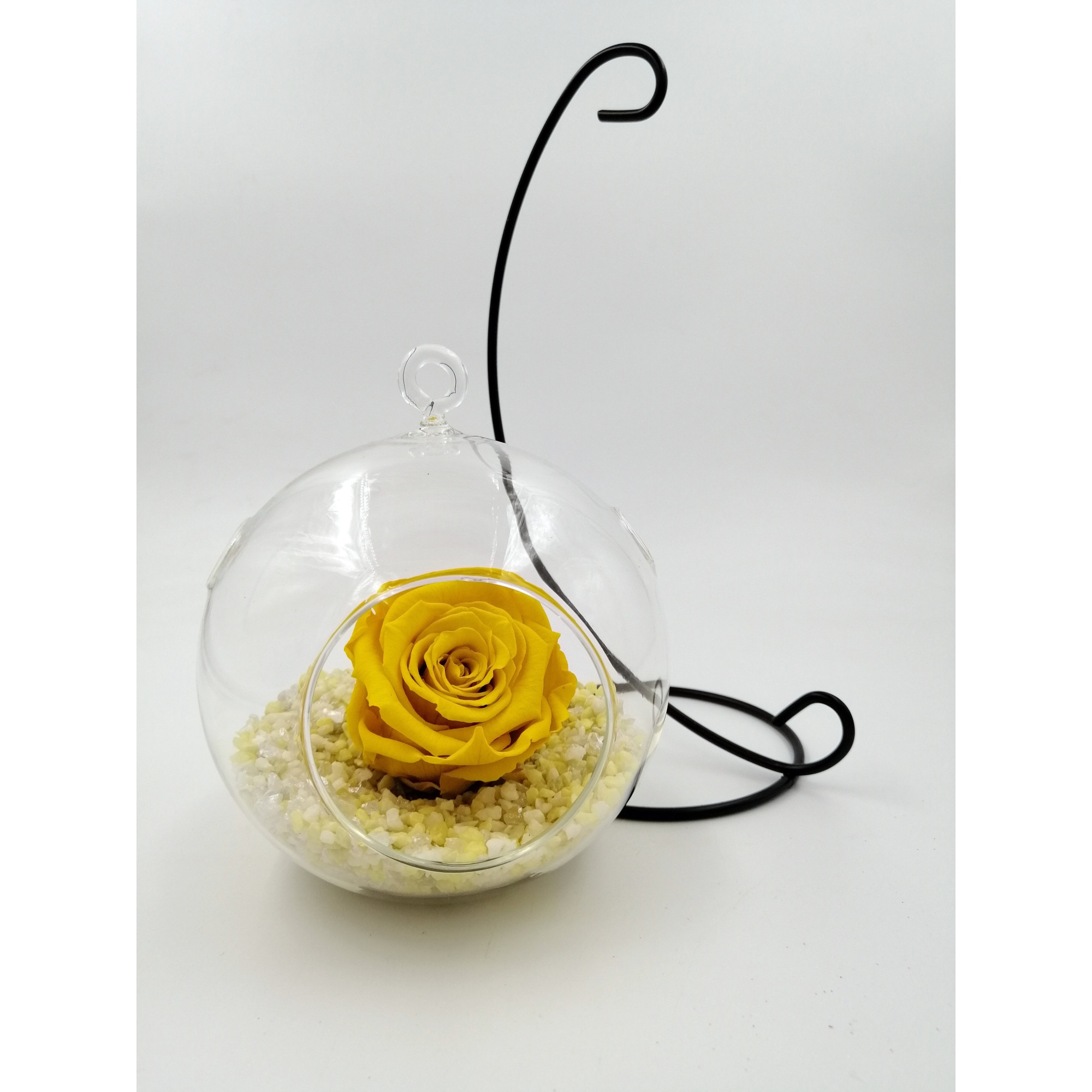 Trandafir Criogenat galben, pe pat de pietricele, in bol de sticla cu ...