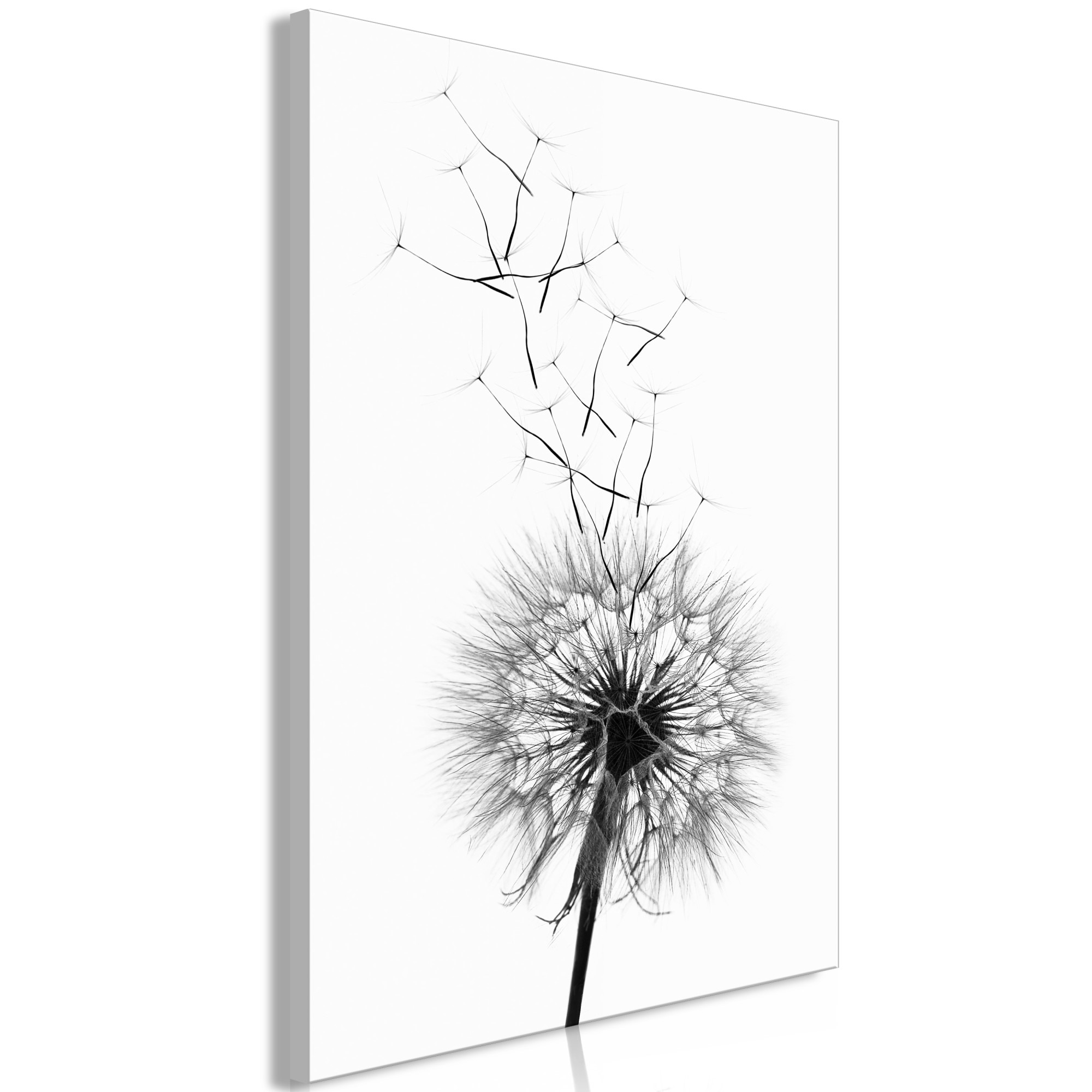 Tablou canvas - Papadie - 40 x 60 cm - eMAG.ro