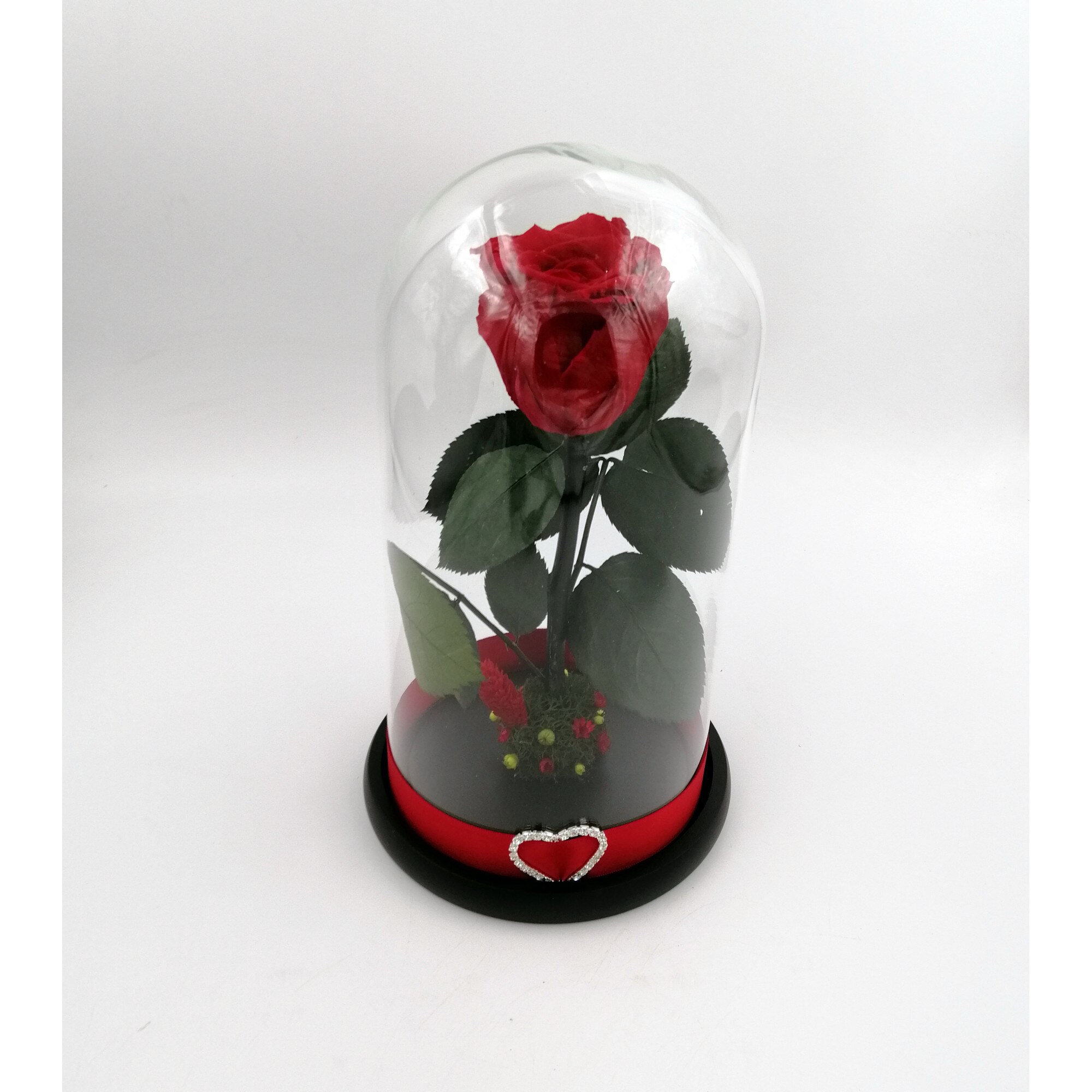 Trandafir Criogenat, rosu, pe pat de muschi stabilizat, in cupola mica ...