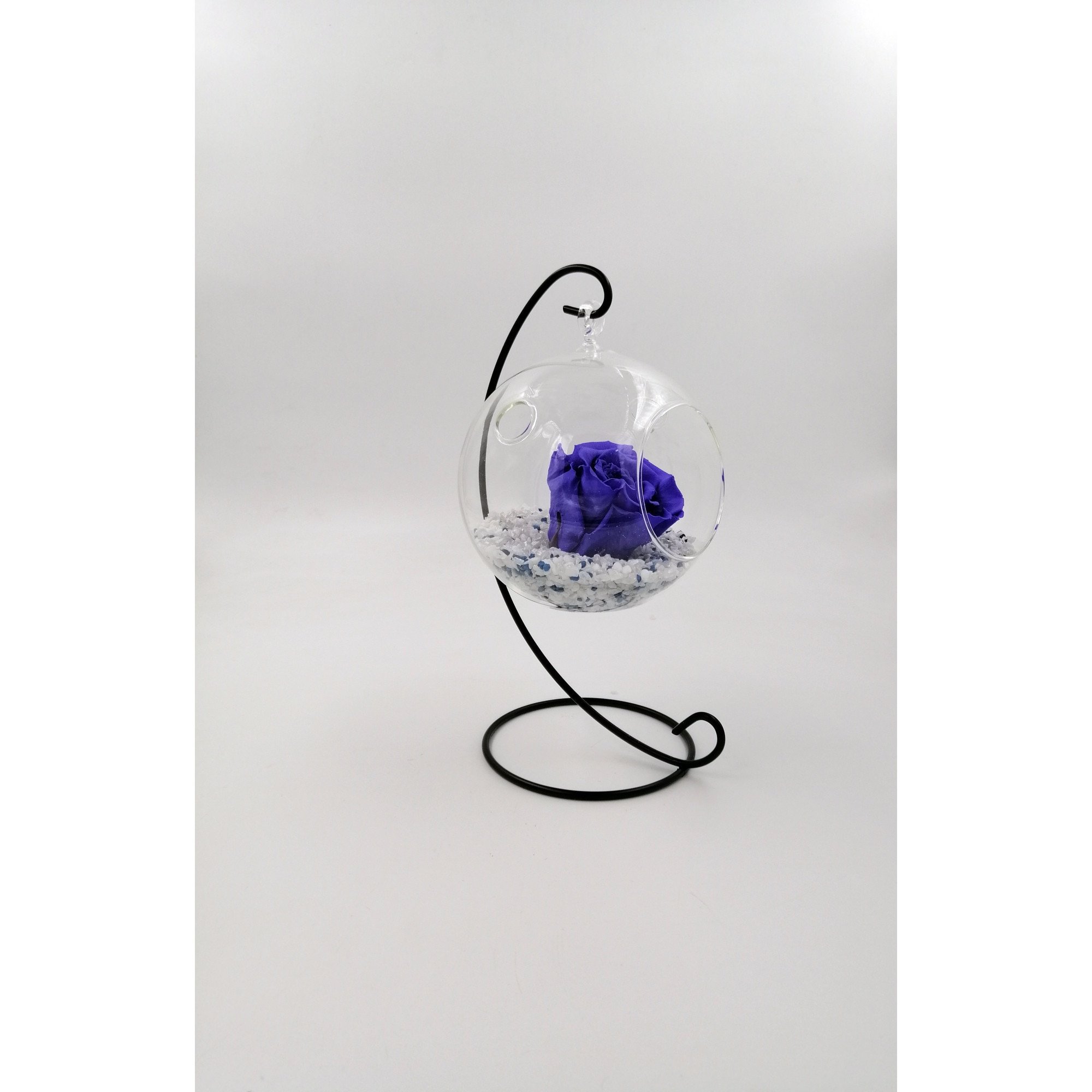 Trandafir Criogenat indigo, pe pat de pietricele, in bol de sticla cu ...