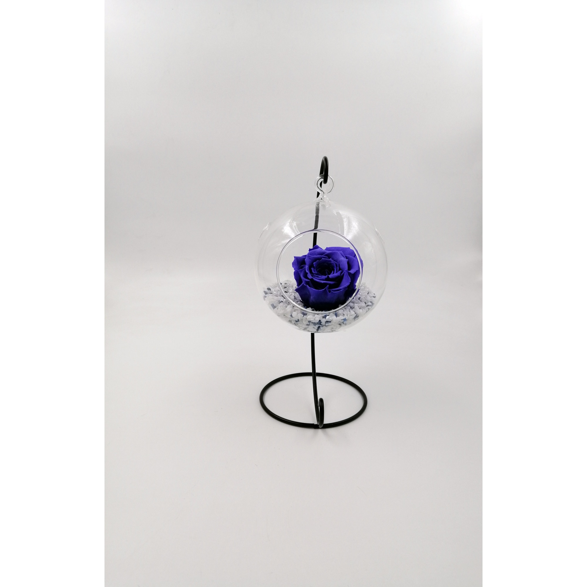 Trandafir Criogenat indigo, pe pat de pietricele, in bol de sticla cu ...