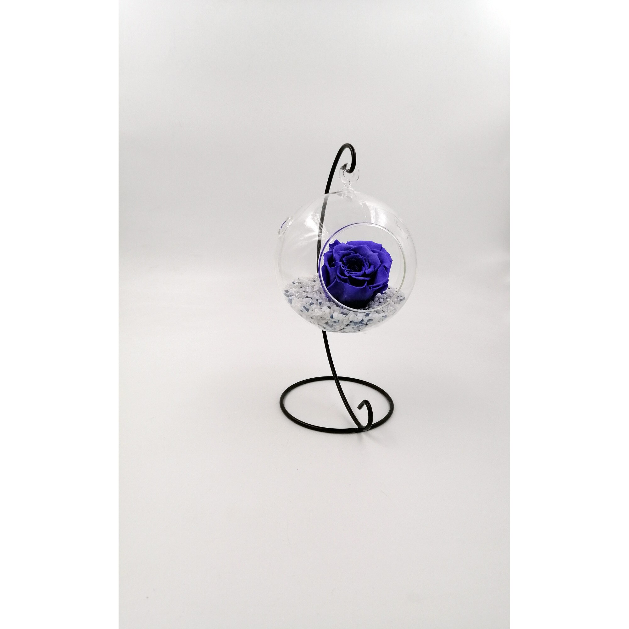 Trandafir Criogenat indigo, pe pat de pietricele, in bol de sticla cu ...