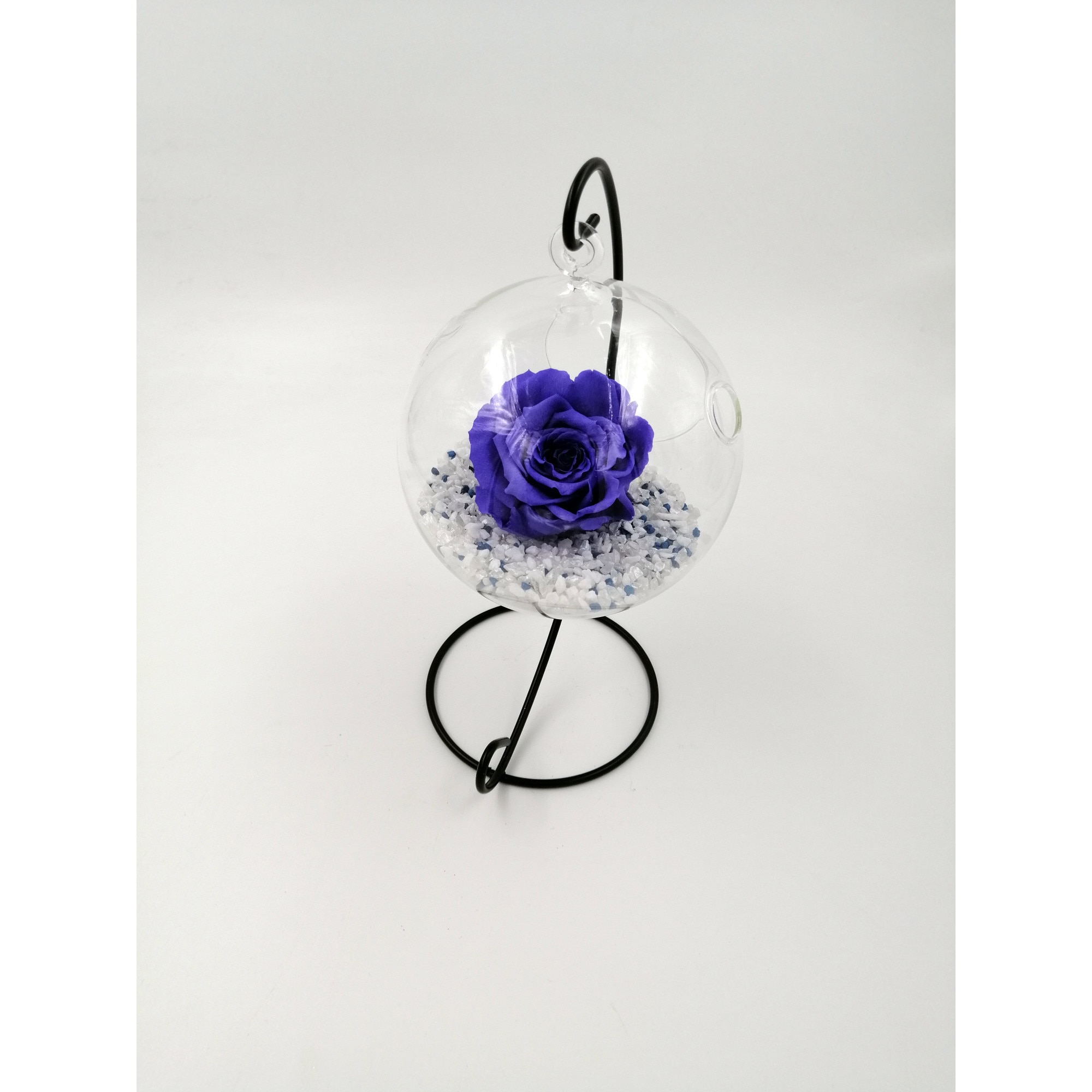 Trandafir Criogenat indigo, pe pat de pietricele, in bol de sticla cu ...