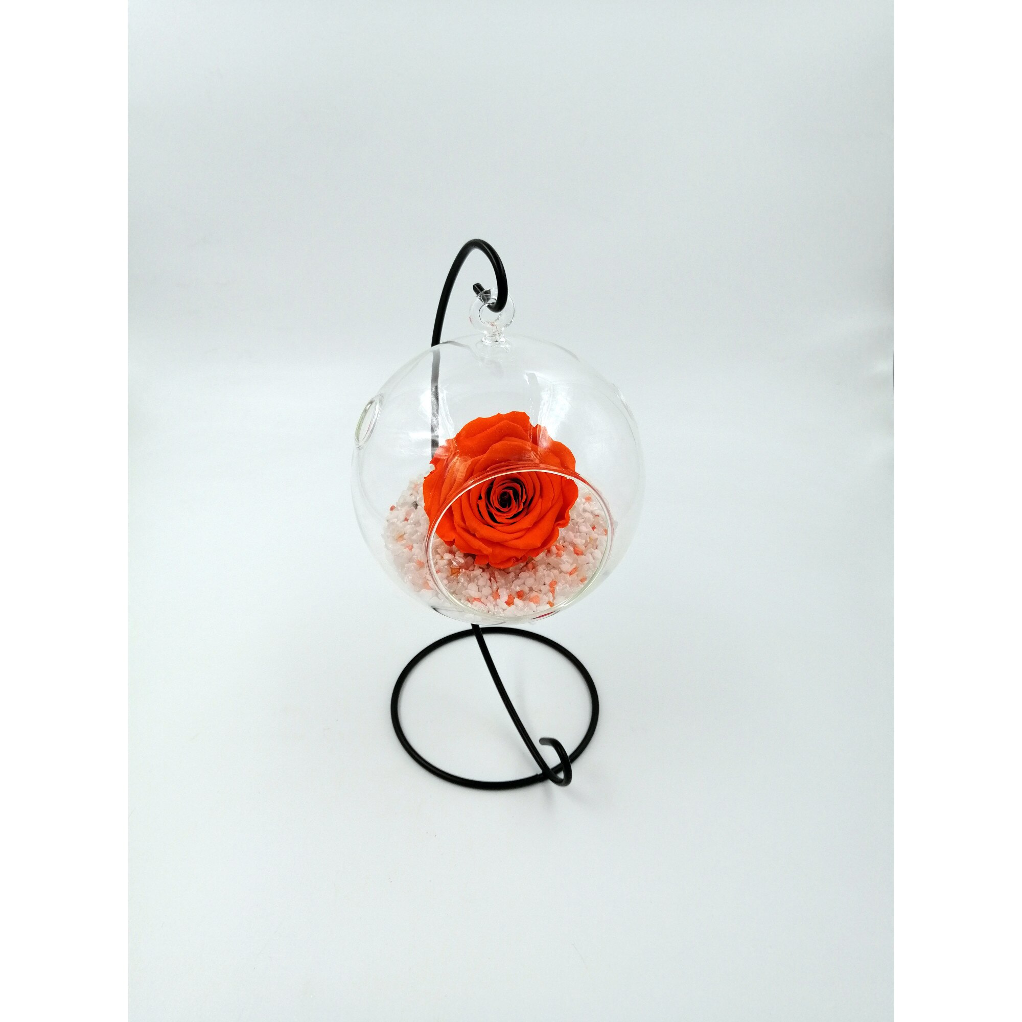 Trandafir Criogenat portocaliu, pe pat de pietricele, in bol de sticla ...