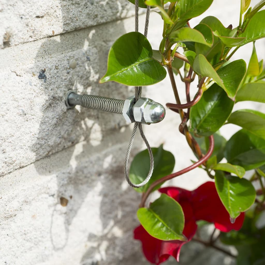 Set de cabluri pentru spalier de gradina pentru plante cataratoare ...