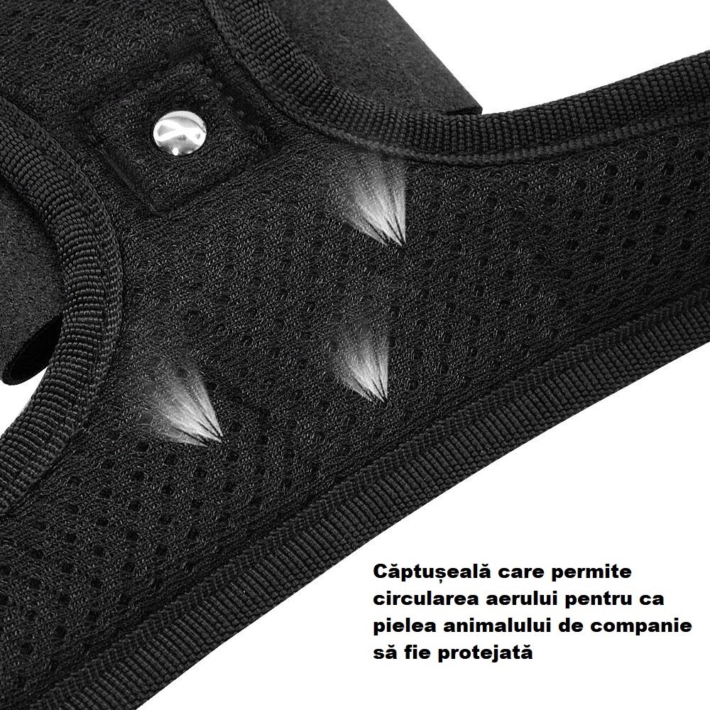 Zgarda ham tip bijuterie cu pietricele si fundita, pentru caini mici ...