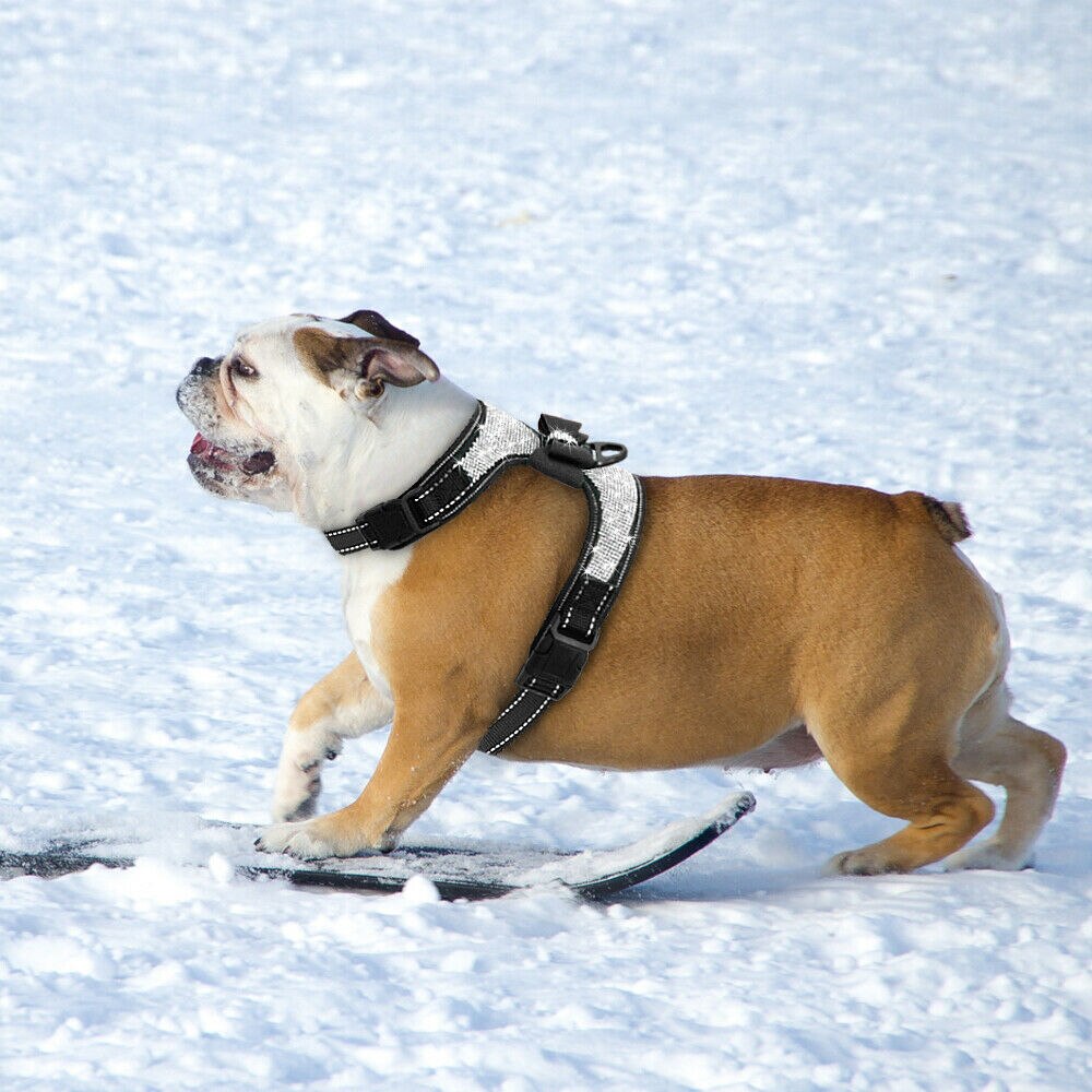 Zgarda ham tip bijuterie cu pietricele si fundita, pentru caini mici ...