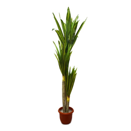 Copac artificial, Yucca cu ghiveci D3059, culoare verde, 180 cm - eMAG.ro